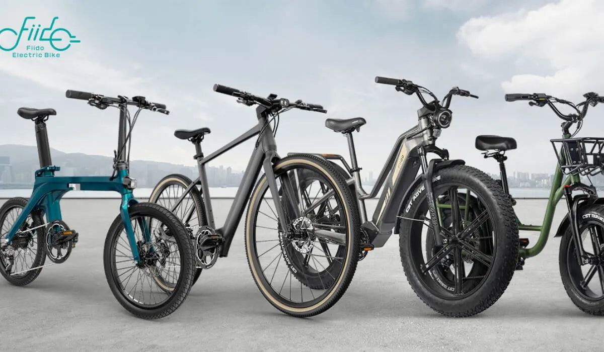 Welke elektrische fiets is het beste om te kopen?